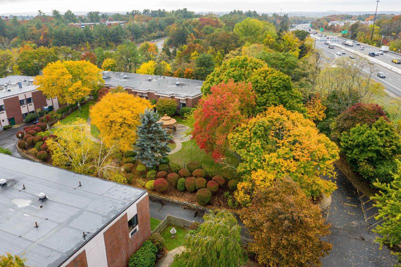 Bear Hill Healthcare And Rehabilitation Center in Stoneham, MA - My ...