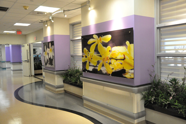 Workmens Circle Multicare Center in Bronx, NY - My Caring Plan